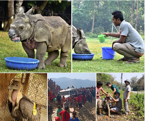 Various Activities during COVID-19 Lockdown - National Trust for Nature ...